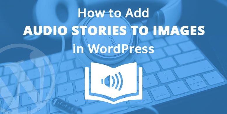 How to properly use jQuery scripts in WordPress